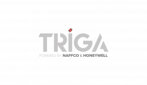 Denvibes | Performance Driven - #1 Digital Marketing Agency in Dubai