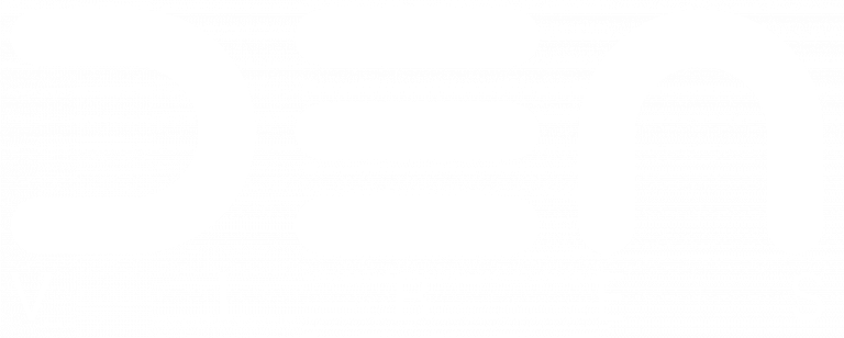 Denvibes | Performance Driven - #1 Digital Marketing Agency in Dubai